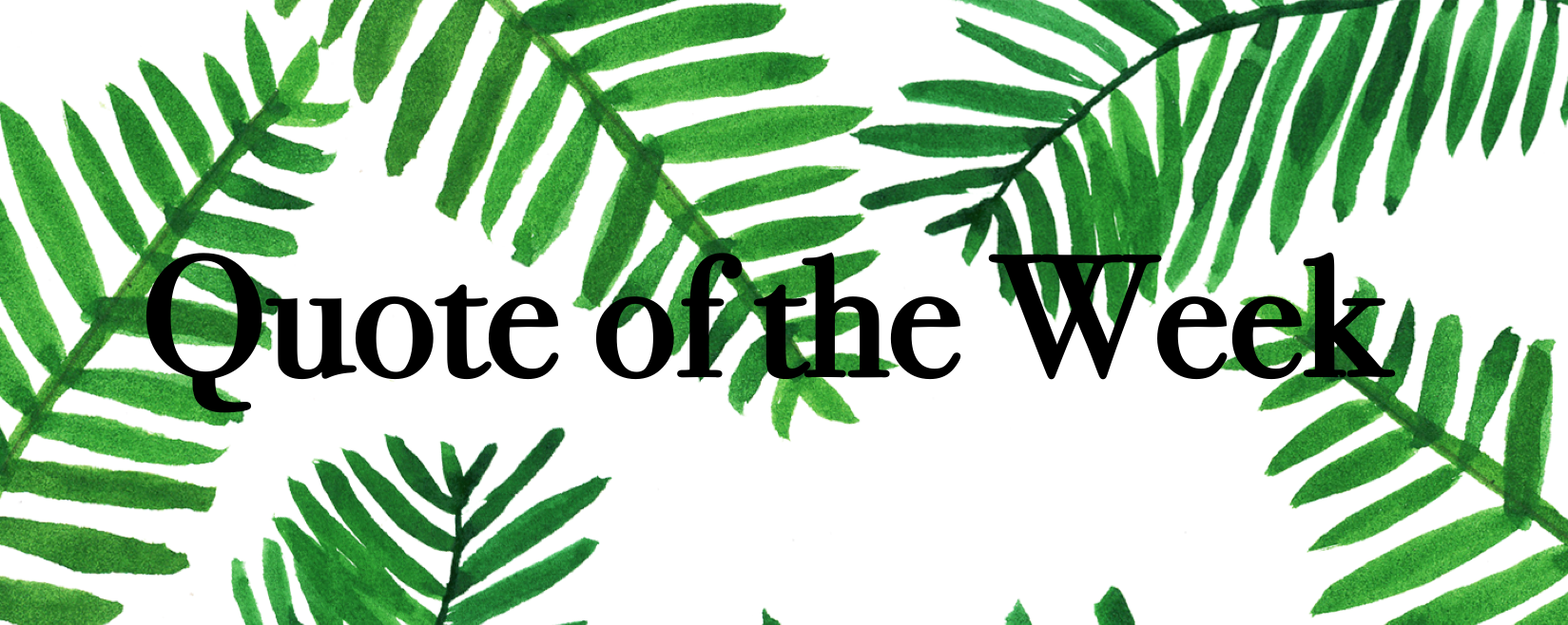 Quote Of The Week - Momentum Marketing