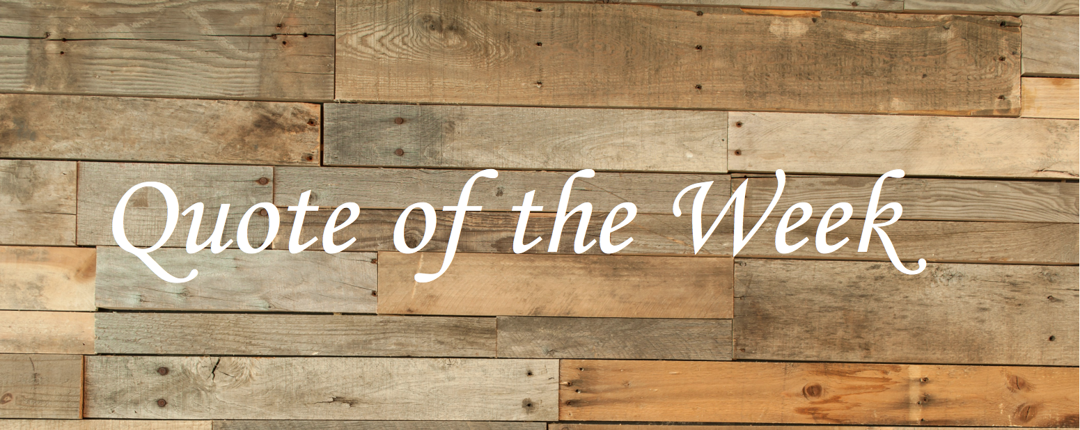 Quote of the Week - Momentum Marketing